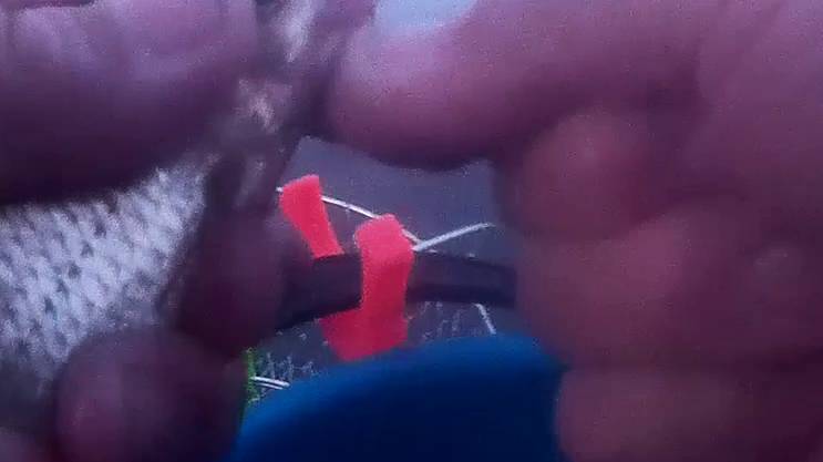 Рыбалка на Ахтубе вечером бель и карась на перловку.