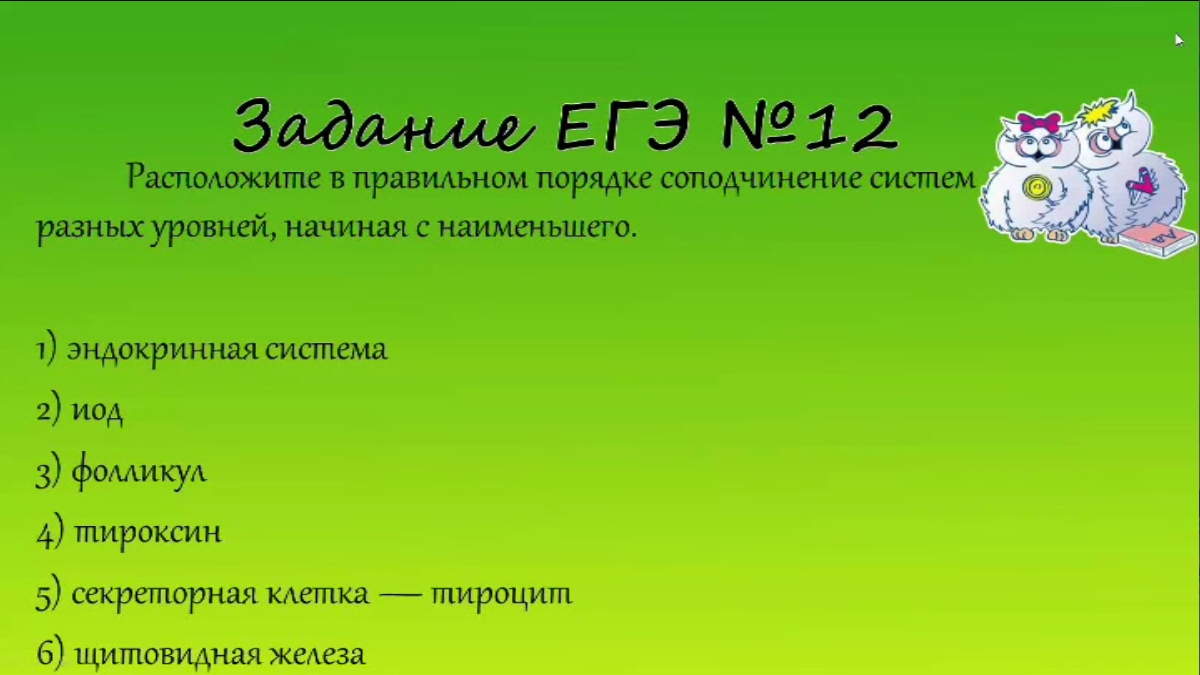 Биология. Разбор 12 заданий ЕГЭ по биологии на соподчинение структур