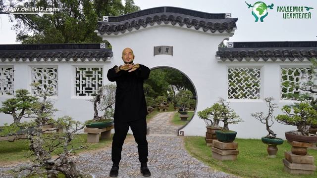 Полный комплекс цигун ЛЮ ЦЗИ ЦЗЬЕ, Дыхание для оздоровления. Константин Перо. Академия Целителей.mp4