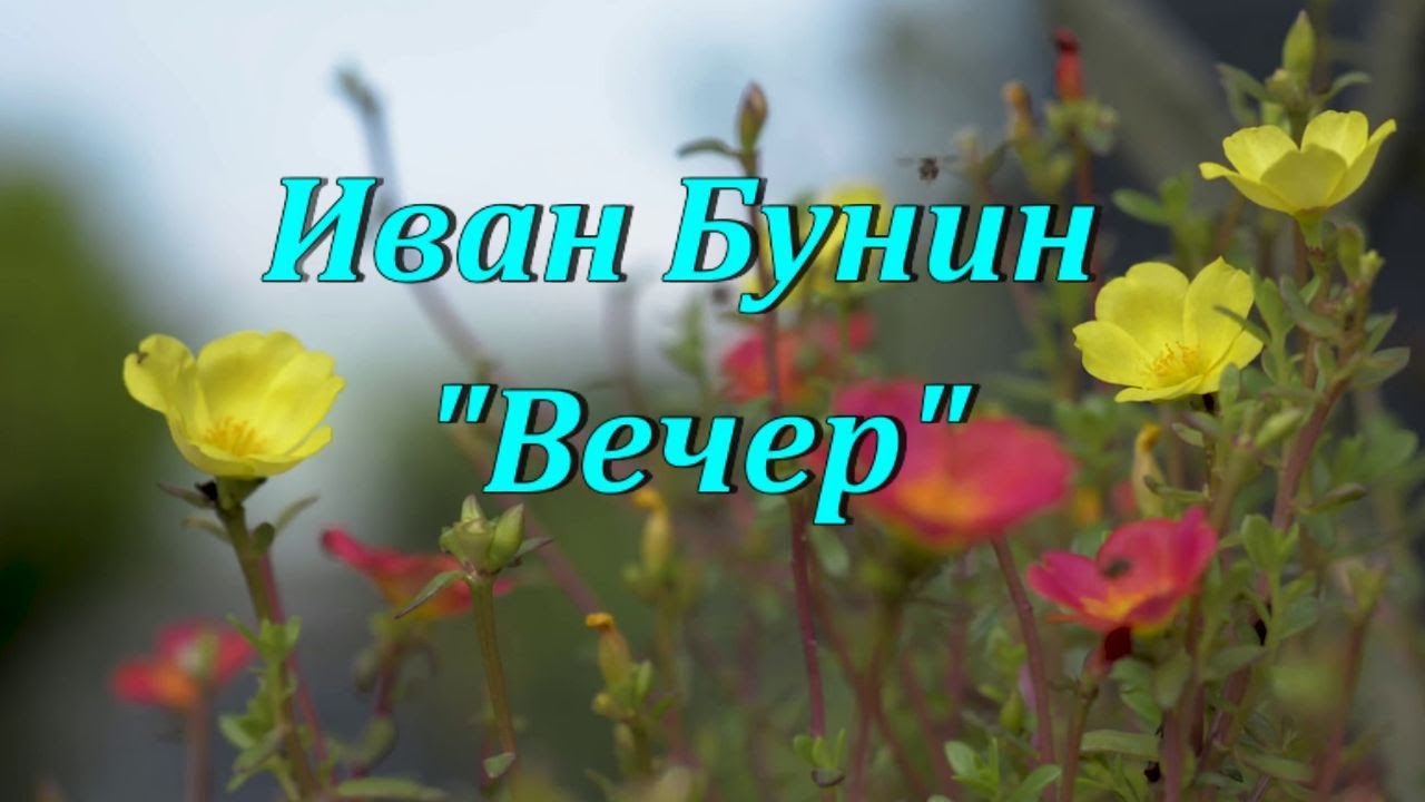 Стихотворение  "Вечер" Иван Бунин
