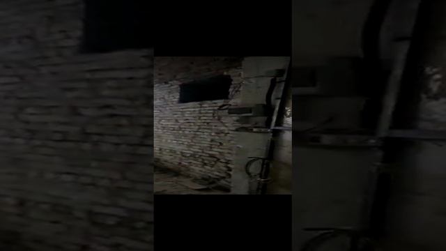 Линия под навоз или под комбикорм 2023