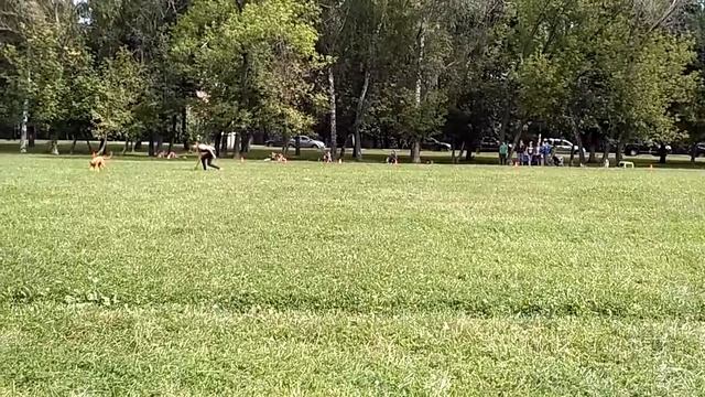 Софья и толлер Венди. Фризби-Фристайл..mp4