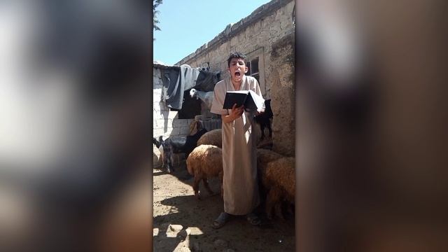 Подборка приколов  НАВОДИМ СУЕТУ