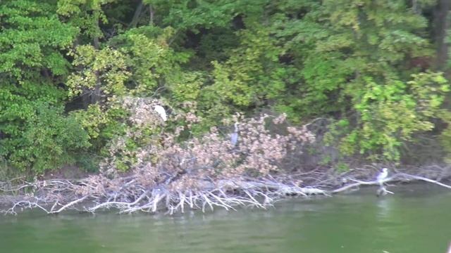 На теплоходе музыка играет