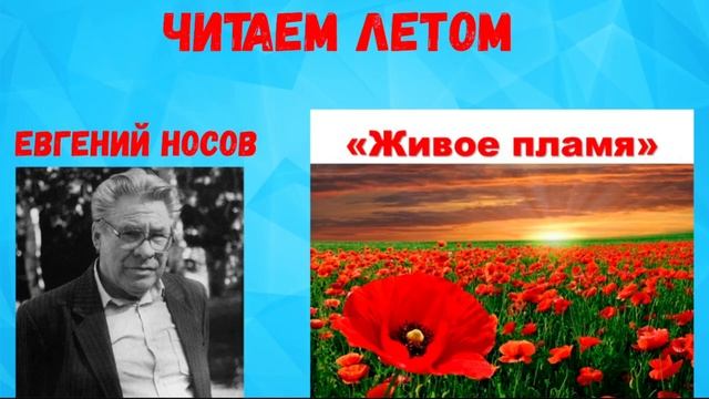 Е.НОСОВ ЖИВОЕ ПЛАМЯ АУДИО СЛУШАТЬ ЧИТАЕМ ЛЕТОМ _АУДИО КНИГА
