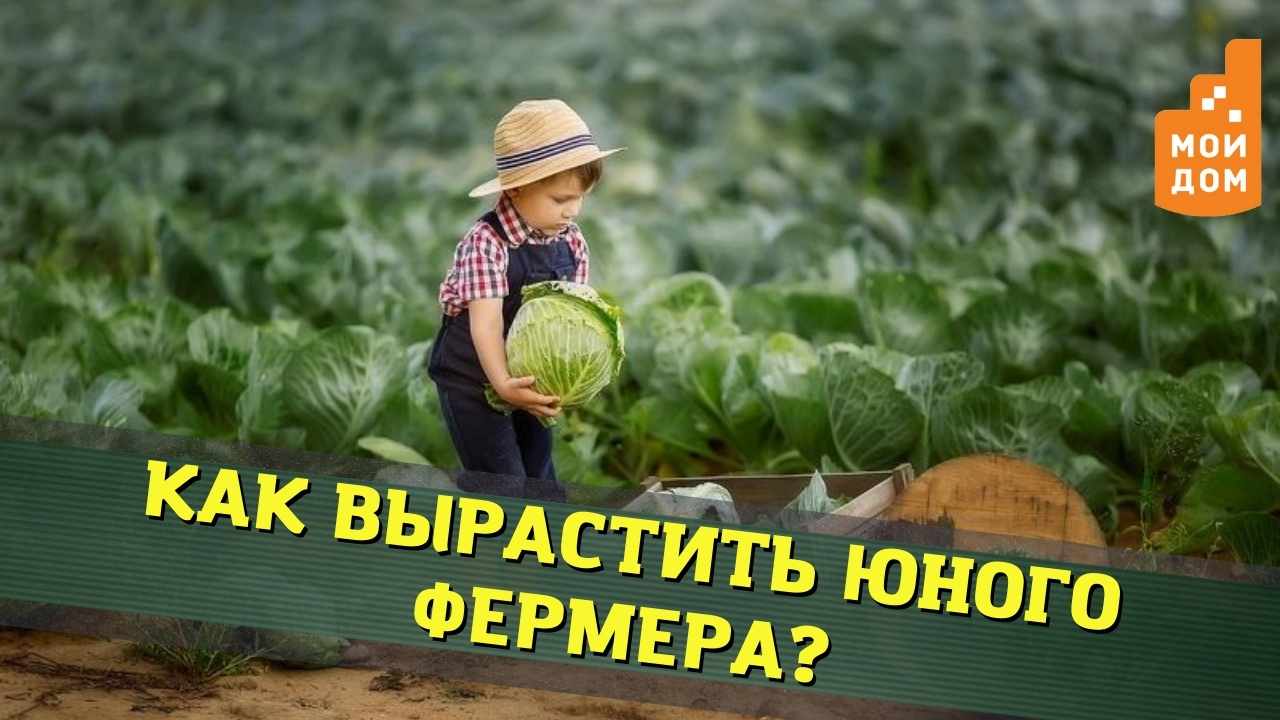 Юный фермер из Красноярска выращивает зелень прямо в квартире