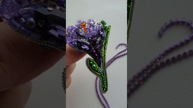 Крокус первоцвет