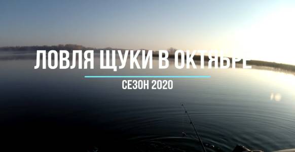 ЛОВЛЯ ЩУКИ В ОКТЯБРЕ 2020.