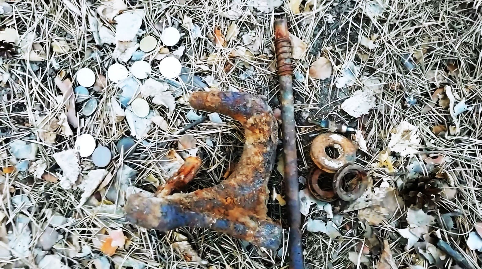 Вся правда о пляжном поиске. Что можно найти за 2 часа.