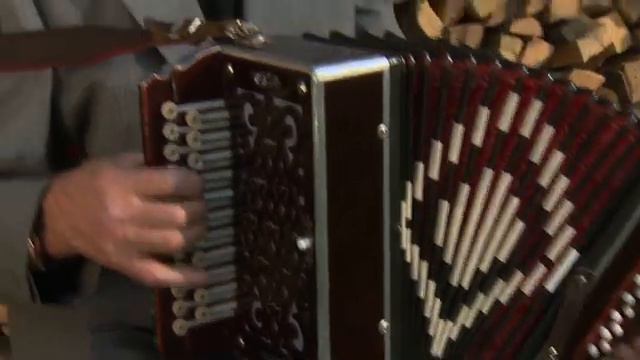 Сергей Алексеев (Вологодская область) _ Наигрыш «Руского»