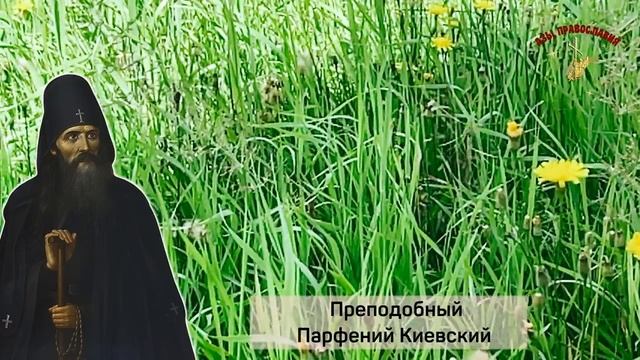 Потеря благодати страшнее всех потерь! Преподобный Парфений Киевский (Краснопевцев)