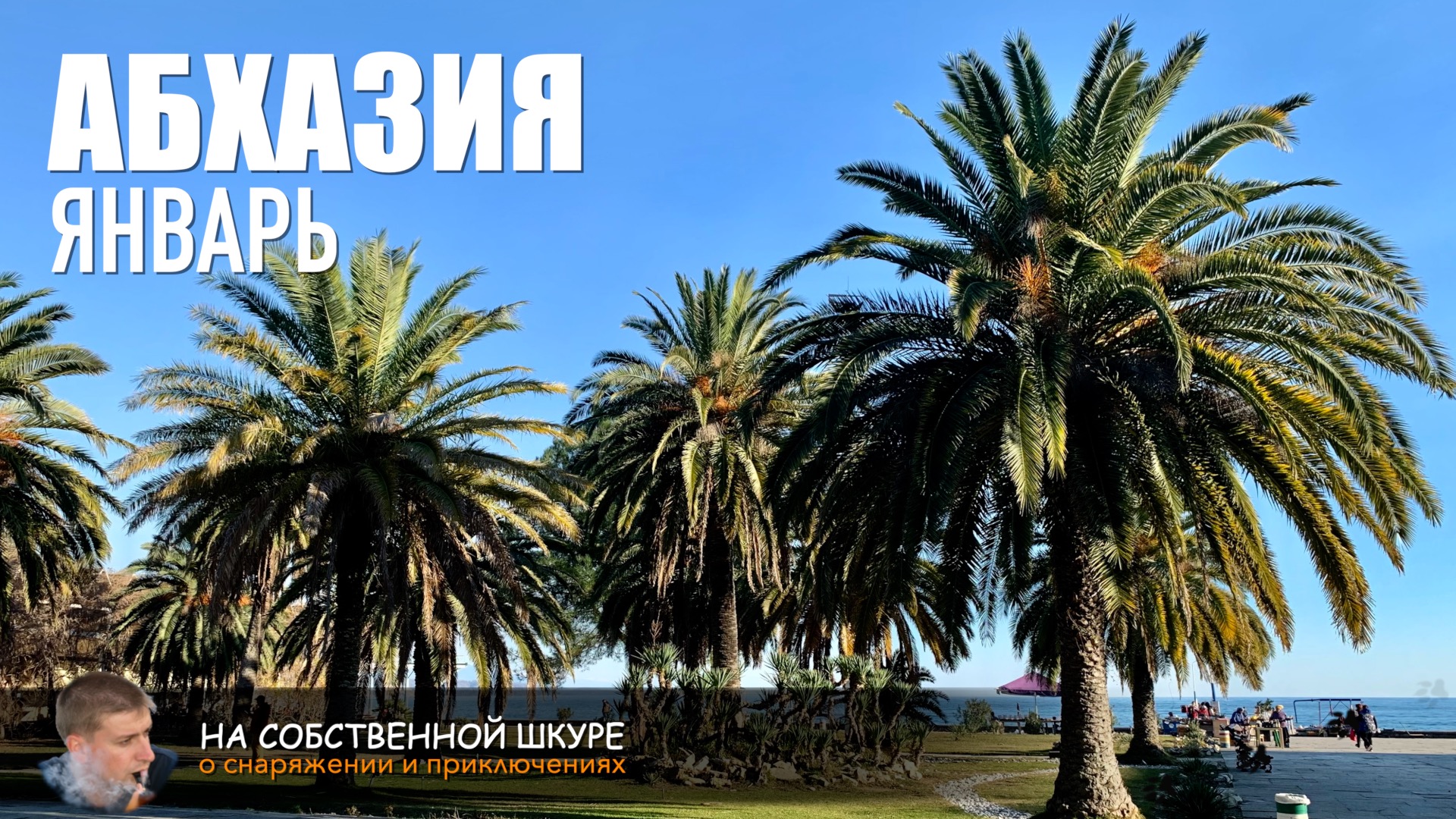 Абхазия. Море и пальмы. Зима ))