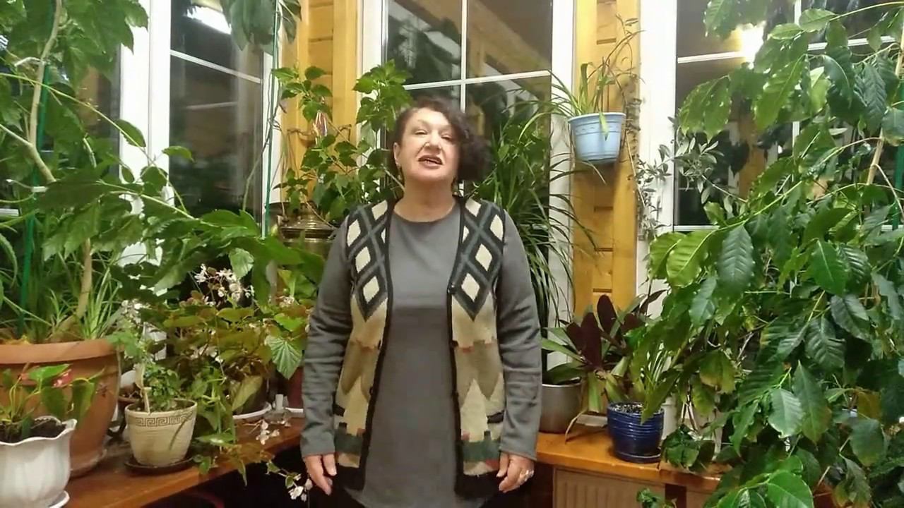 Метод групповой креативности ч 2