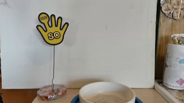 Фикус карика, Инжир, Бонсай на камне