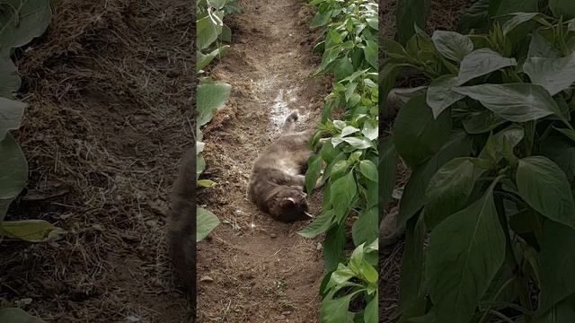 Мы славно поработали  и славно отдохнем.