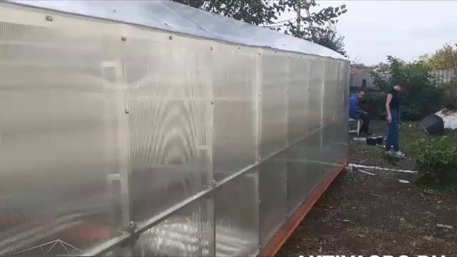 Видеообзор на теплицу Ударница Благодатная 3х8 м шаг 0.65 м. с перегородкой