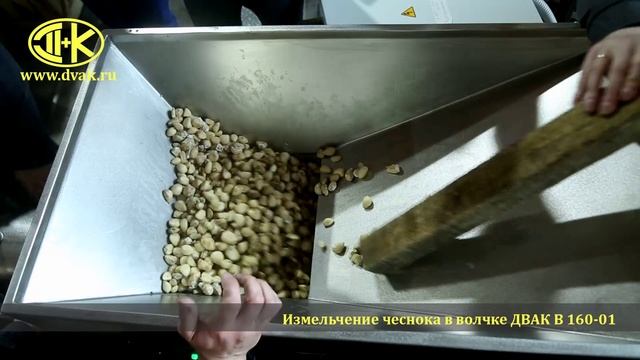 Промышленное измельчение чеснок в волчке ДВАК В 160-01