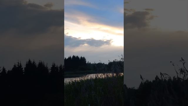 Рыбалка 06.06.2024, карась на манку