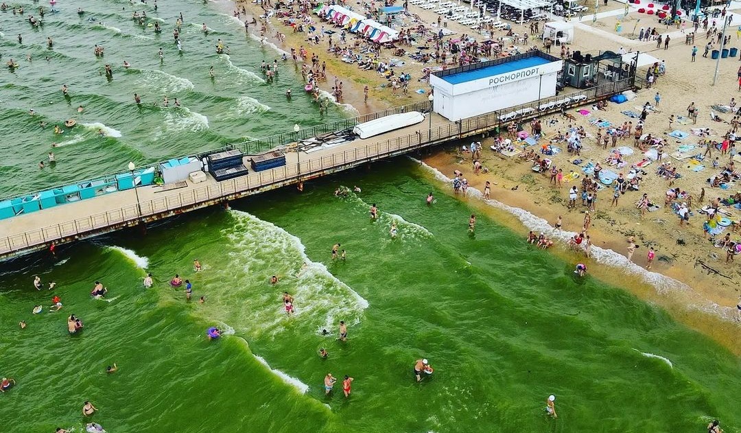 Черное море: очередная проблема - вода стала зелёной!
#BlackSea #Kuban #greenssea