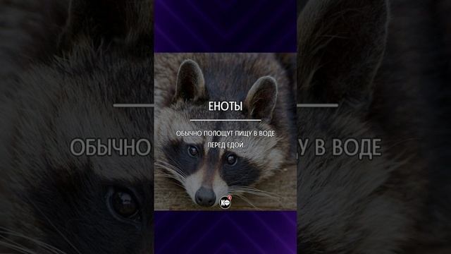 Интересные факты #рекомендации #факты