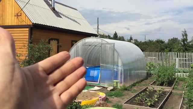 Отзыв о басике в теплице