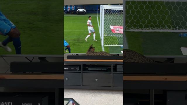 26-03-2024 футбол 😊