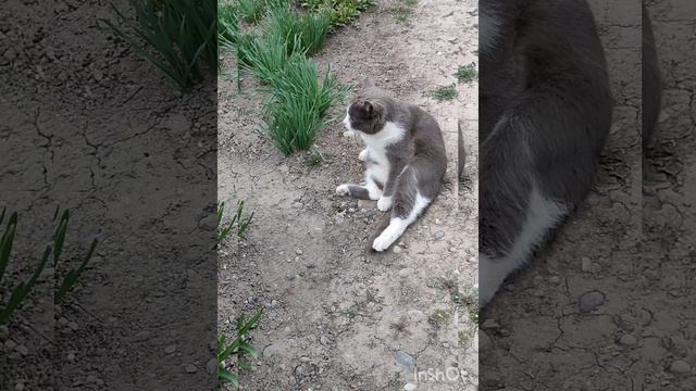 Дело было утром.