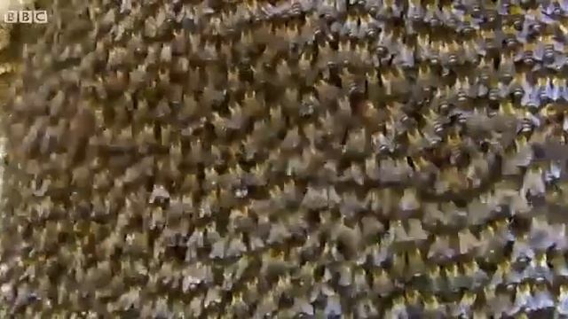 VID_20221216_215717_956.mp4