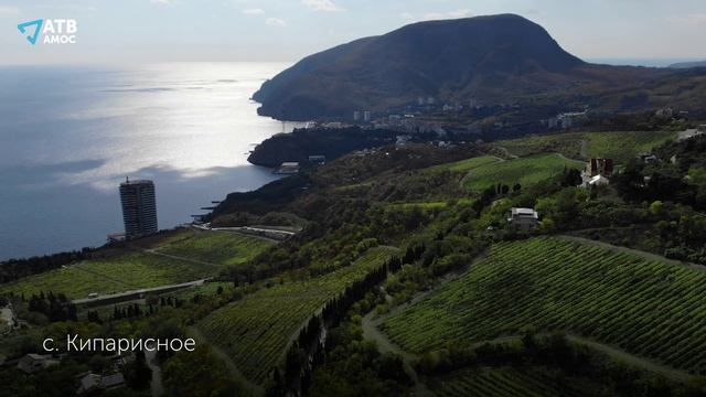 Кипарисное с высоты птичьего полета