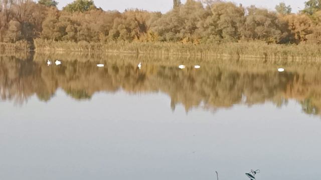 ОТец ловит рыбу 30 сентября