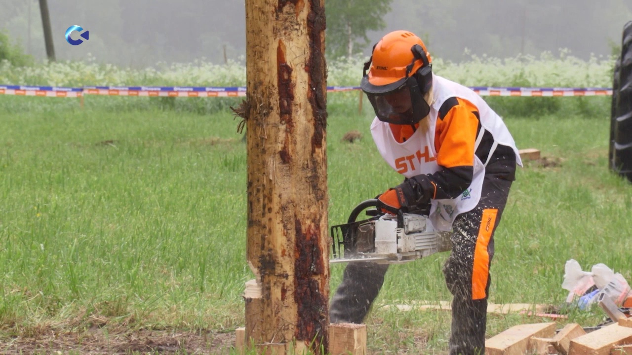 В республике прошли соревнования за звание лучшего лесоруба Карелии