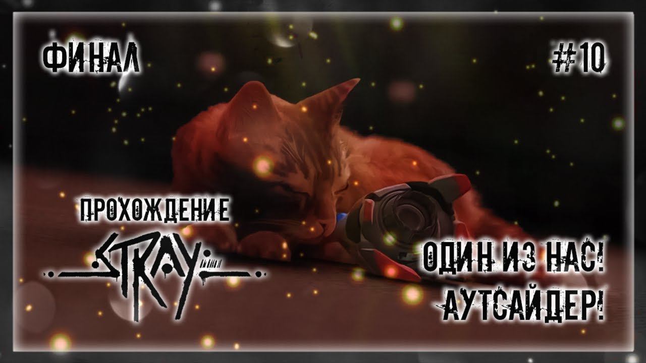 ОДИН ИЗ НАС! АУТСАЙДЕР! | Прохождение STRAY #10 | ФИНАЛ