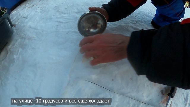 Сагудай/Сугудай/Загудай/ Рыбка на берегу Байкала в -10 градусов #вкусняшка #байкал #baikal