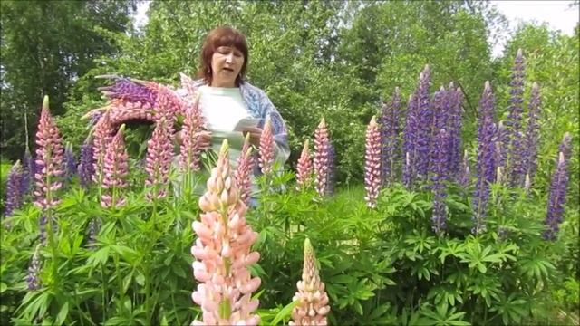 Юдит Бенье. Лета сладкий аромат. Перевод Г.Этэгэн. Сладкие, «летние» стихи у венгерской поэтессы.