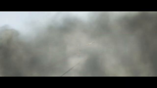 Трейлер Total War Rome II Nomadic Tribes