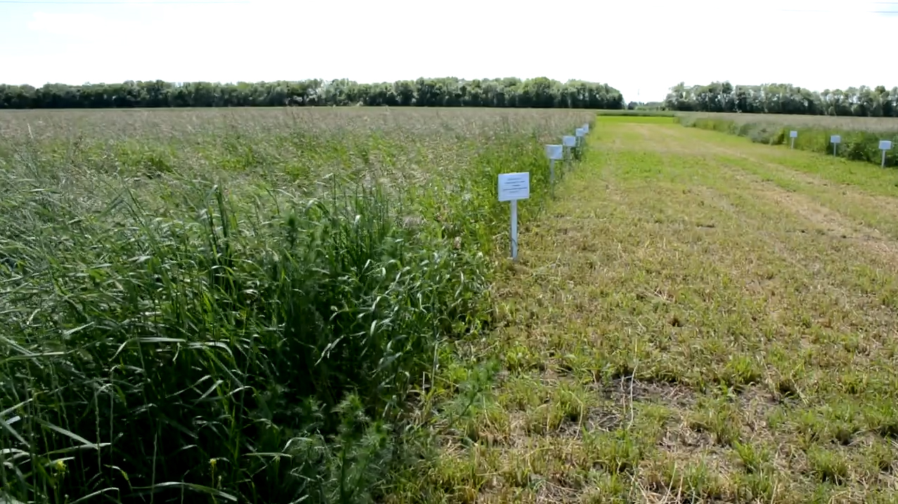 40 лет лаборатории КОРМА