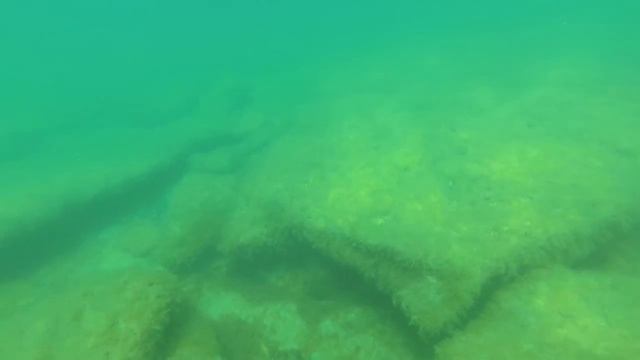 Обычный день дайвера и маленькие медузы.