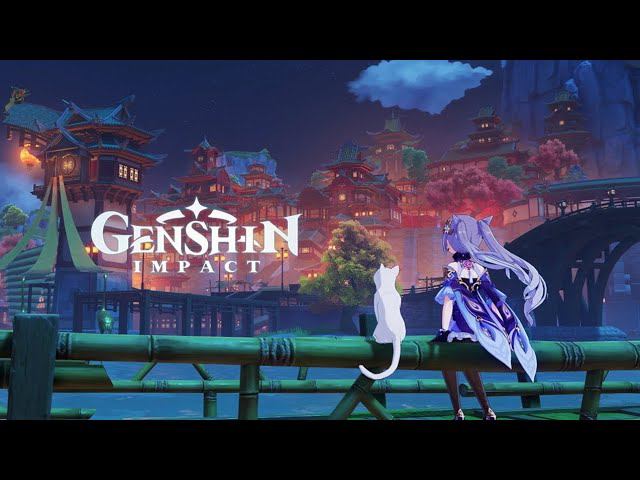 Genshin Impact #5