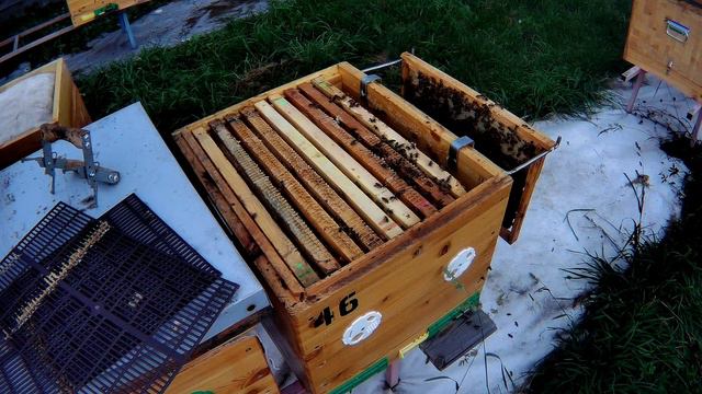 2023_0708_170354_099