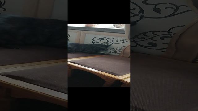 Новая игрушка Бореньки