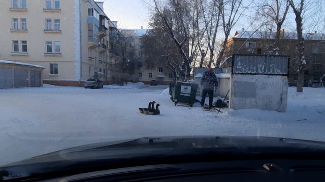 Жили у бабуси ...