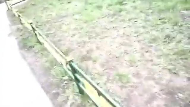 Сериал ИМРК 81 — Прогулки с собаками с Иваном Краснояровым