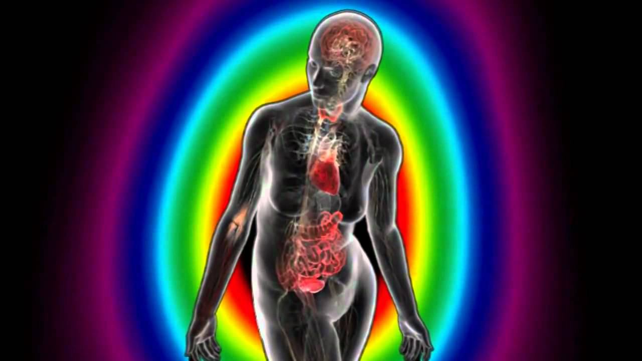 книга Последнее обращение к человечеству.