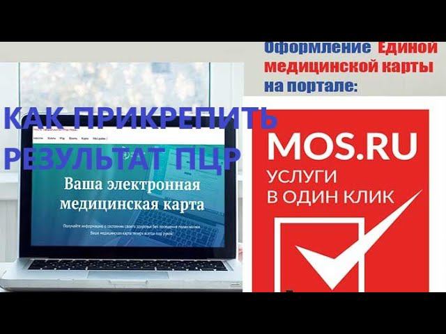 как скачать результаты анализов из электронной медкарты