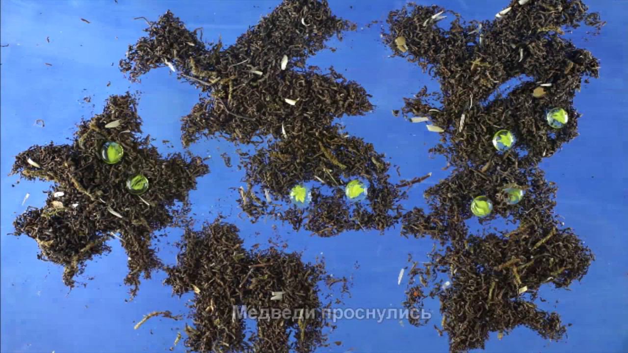 И вдруг весна