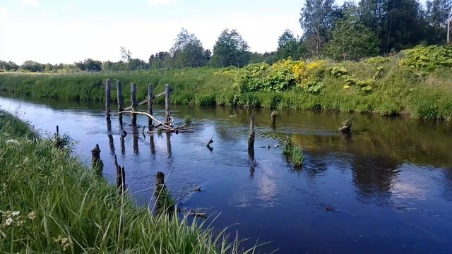 Река Уводь. ч.10. Июнь 2023