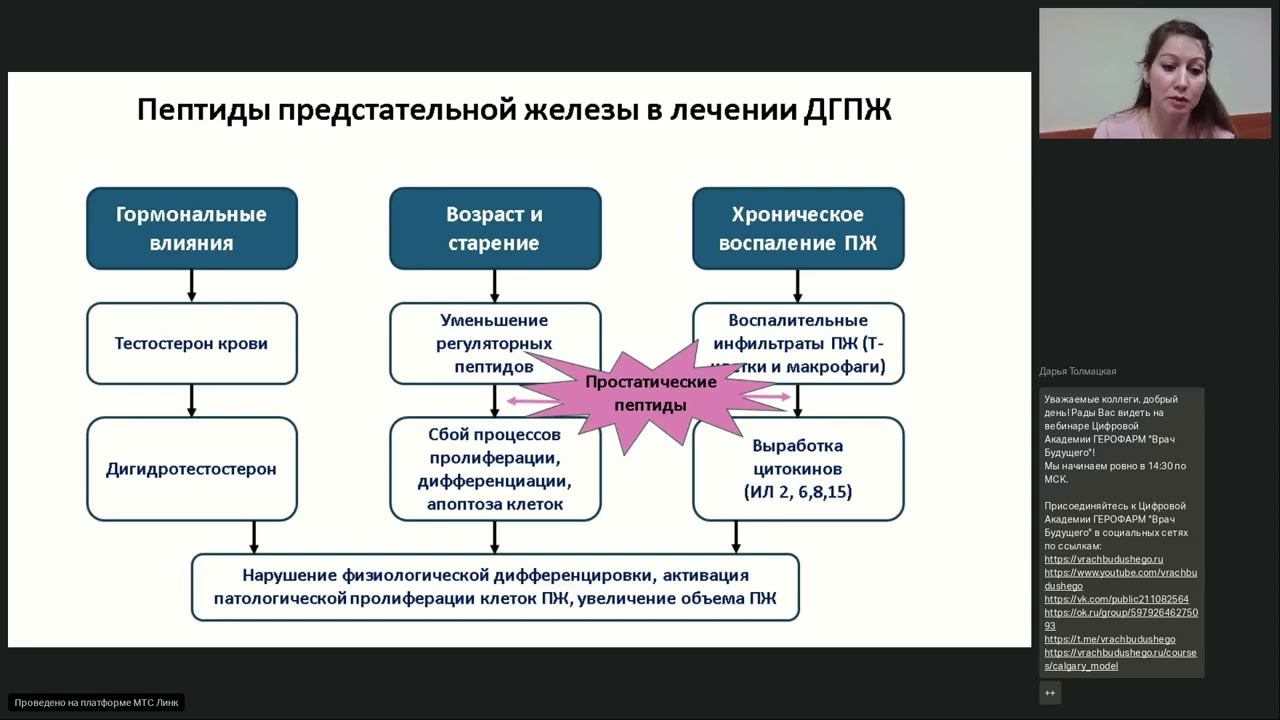Современный взгляд на патогенез и консервативное лечение ДГПЖ