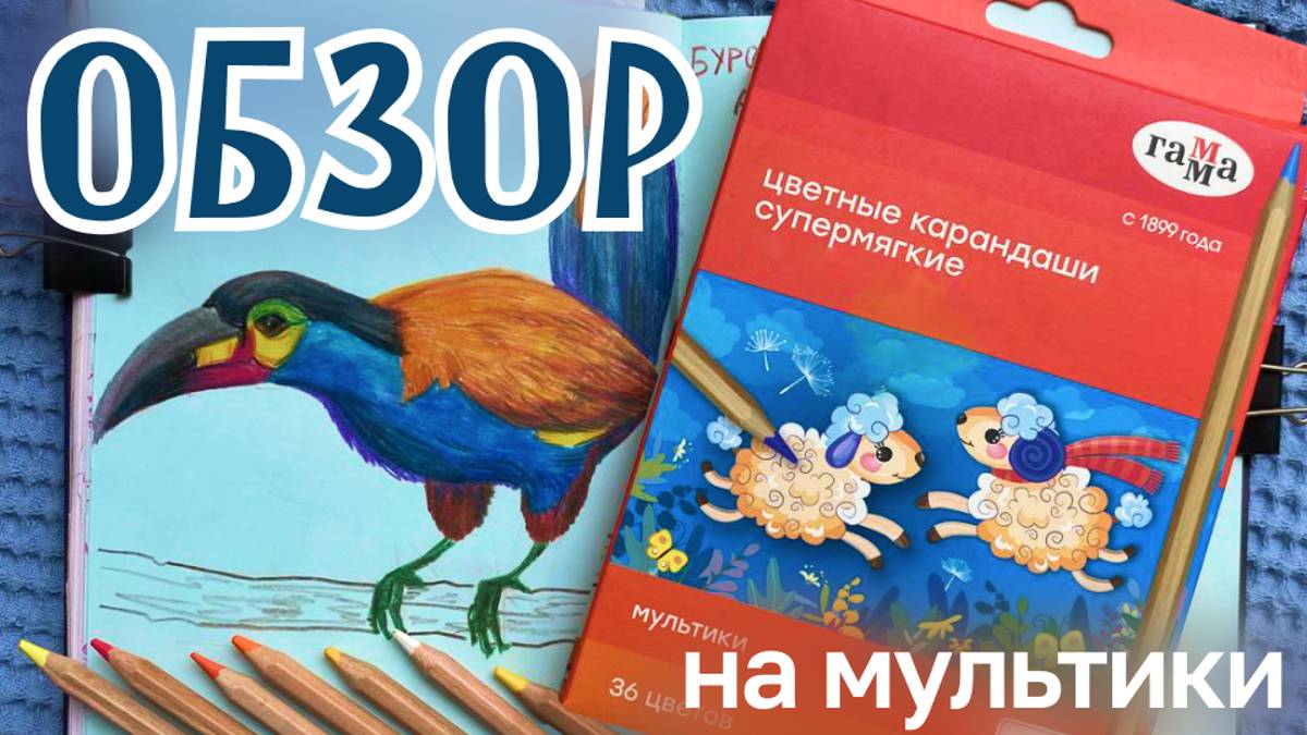 лучшие карандаши в моей жизни // обзор на супермягкие цветные карандаши гамма "мультики"