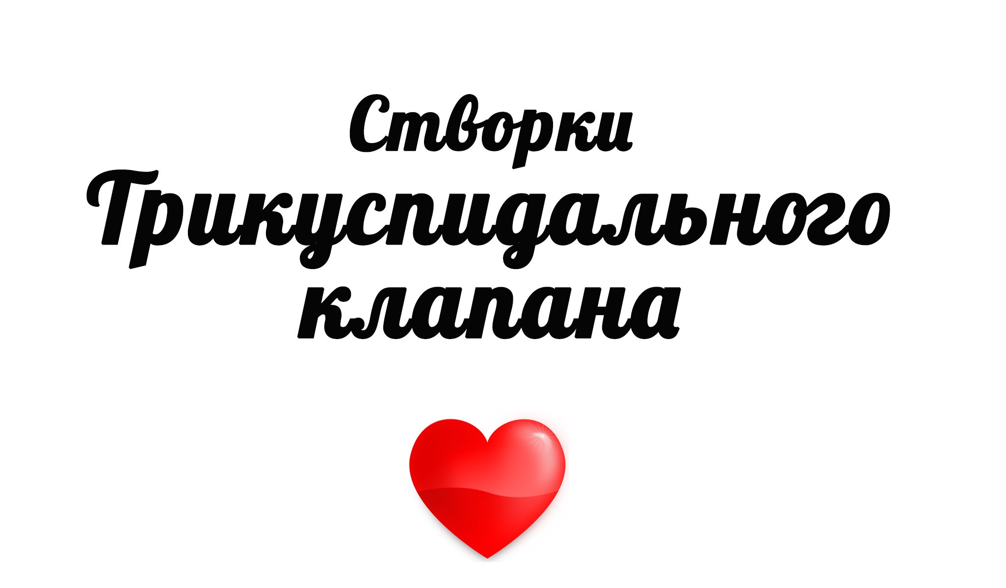 Створки трикуспидального клапана на ЭхоКГ