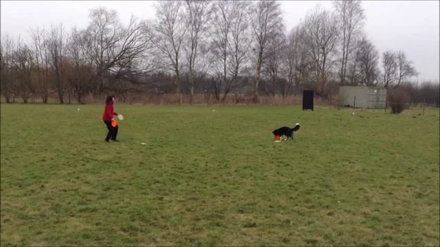 Фризби Фристайл 2015 Светлана и Джесси.mp4